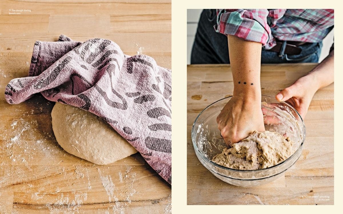 Flour Power: The Practice and pursuit of Baking Sourdough Bread - Tara ...
