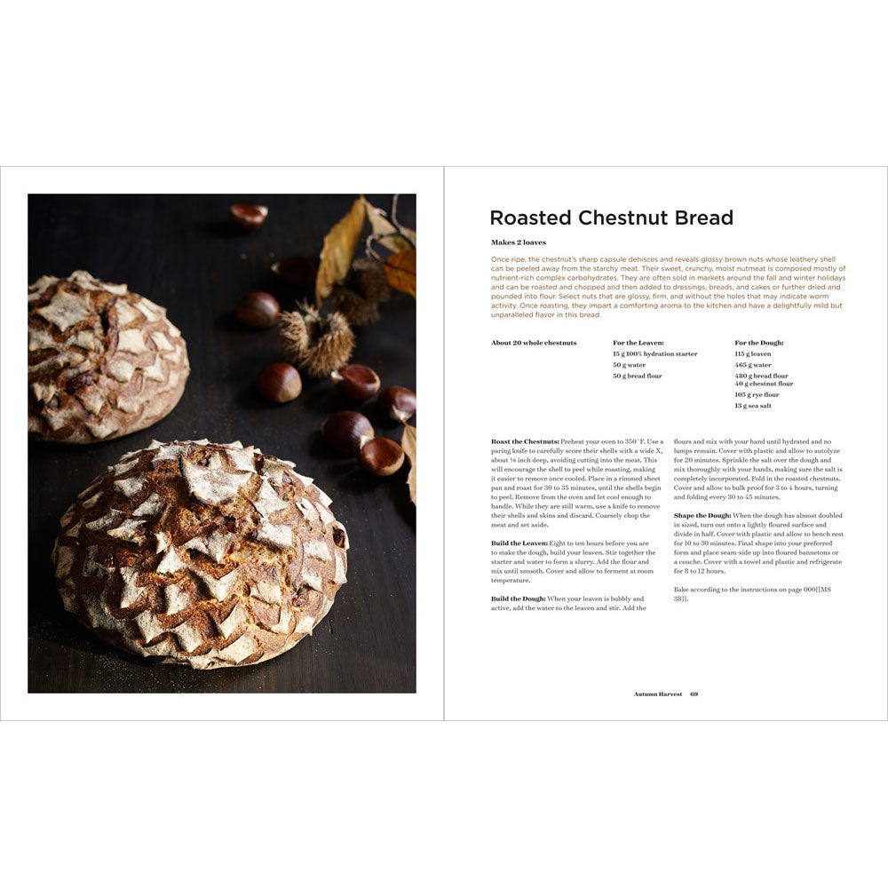 Sourdough - Sarah Owens – Maison Cookware + Bakeware